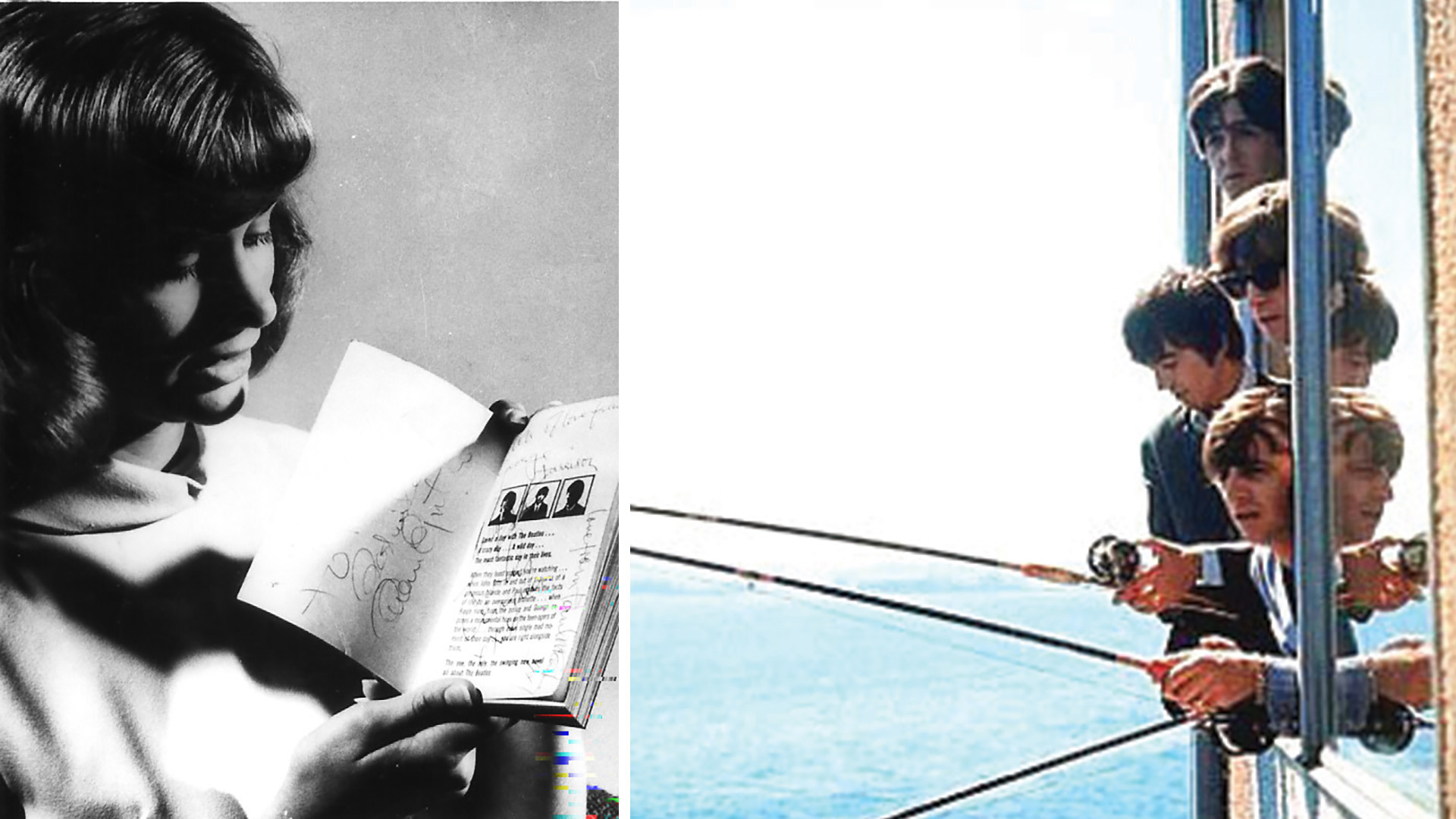 Seattle Local News | Seattle, Washington | king5.com