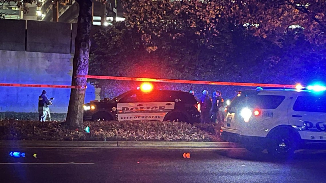 Man charged in deadly stabbing on King County Metro bus in SeaTac ...