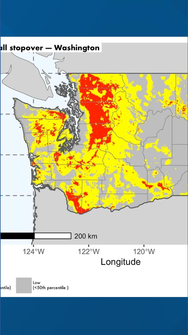 Dramatic rise in bird migration over Washington state prompts 'Lights ...