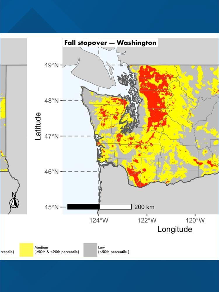 Dramatic rise in bird migration over Washington state prompts 'Lights ...
