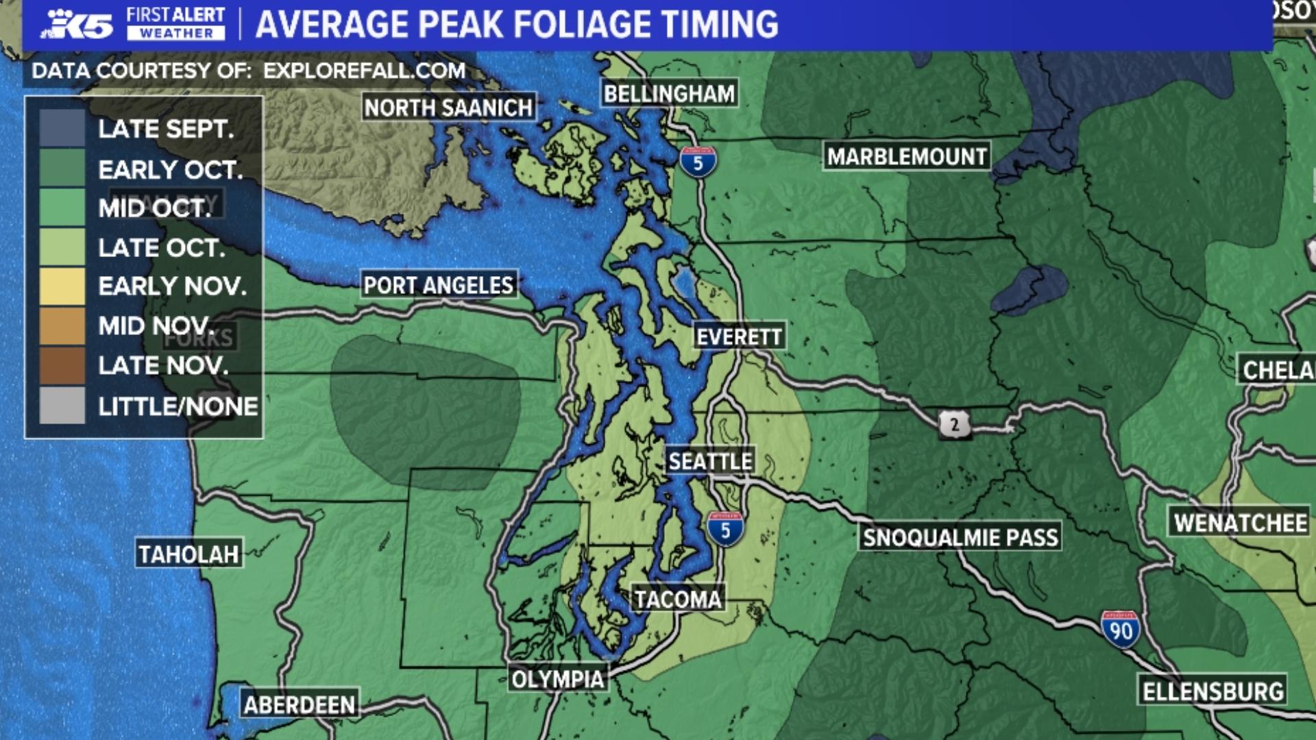Here's when to view peak fall foliage in western Washington | king5.com