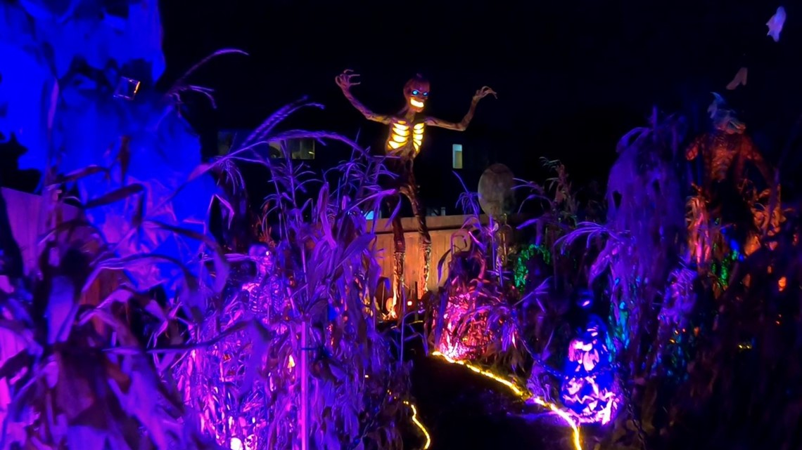Seattle family builds backyard corn field for Halloween display | king5.com