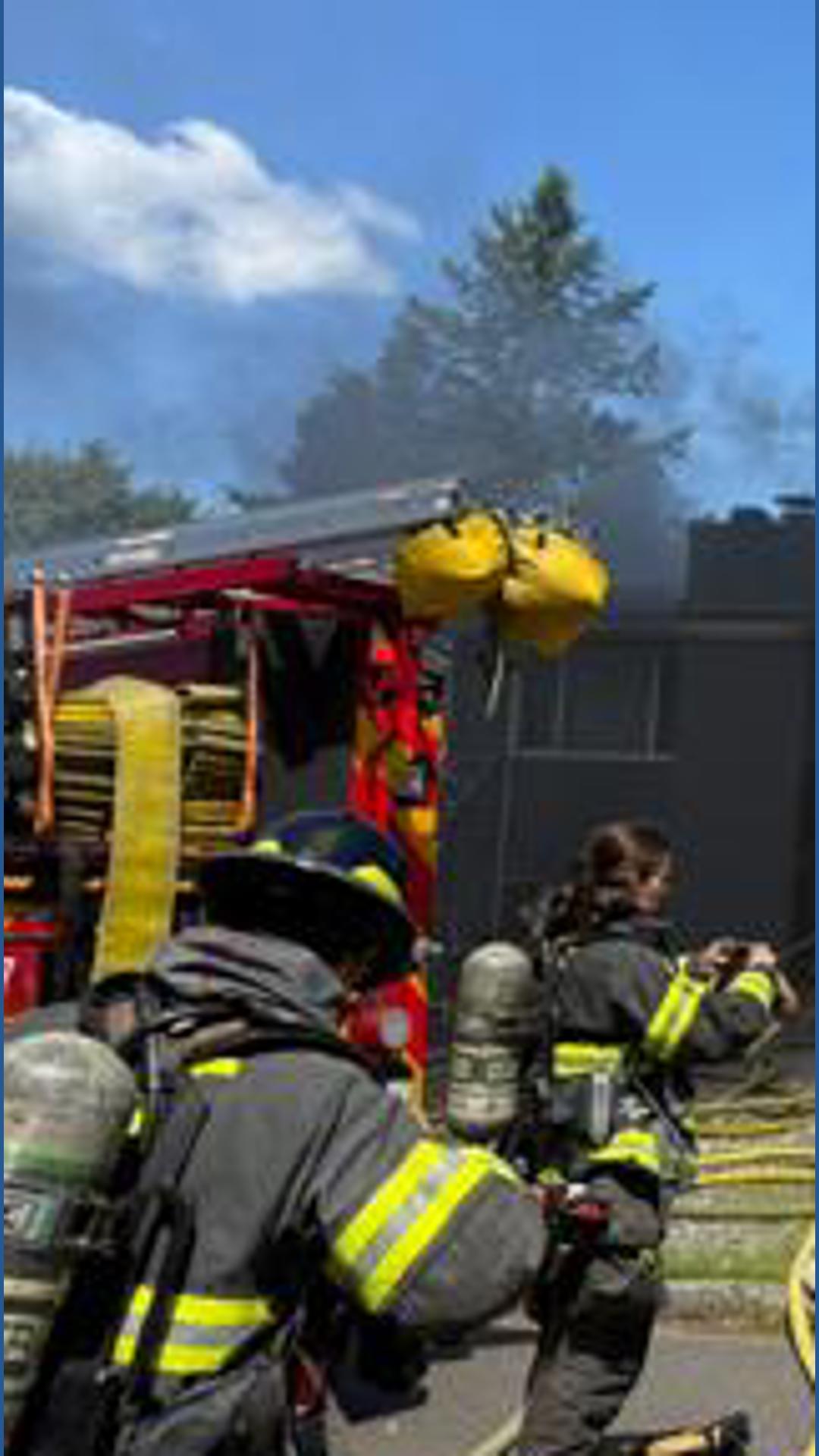 One dog killed, three people evaluated after Kent house fire | king5.com