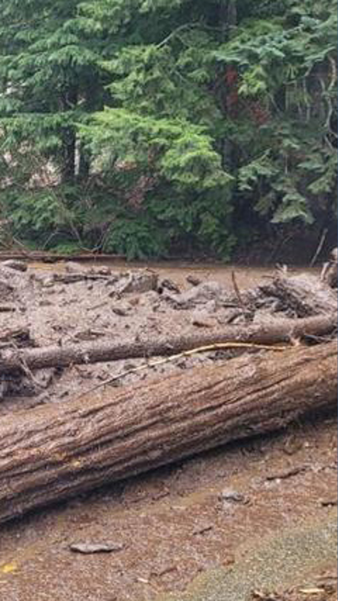 50 miles of US 2 over Stevens Pass remain closed due to debris slides ...