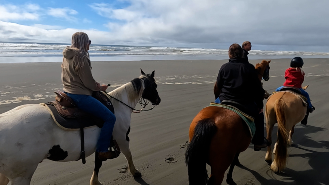 Experience the Beauty of Ocean Shores: Guided Horseback Riding at Honey ...