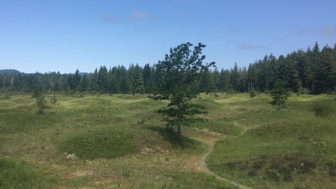 Exploring the Mima Mounds: Ben There, Done That | king5.com