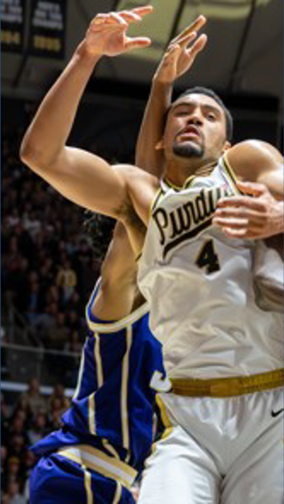 ZooTunes announces 2025 summer concert lineup, dates | king5.com