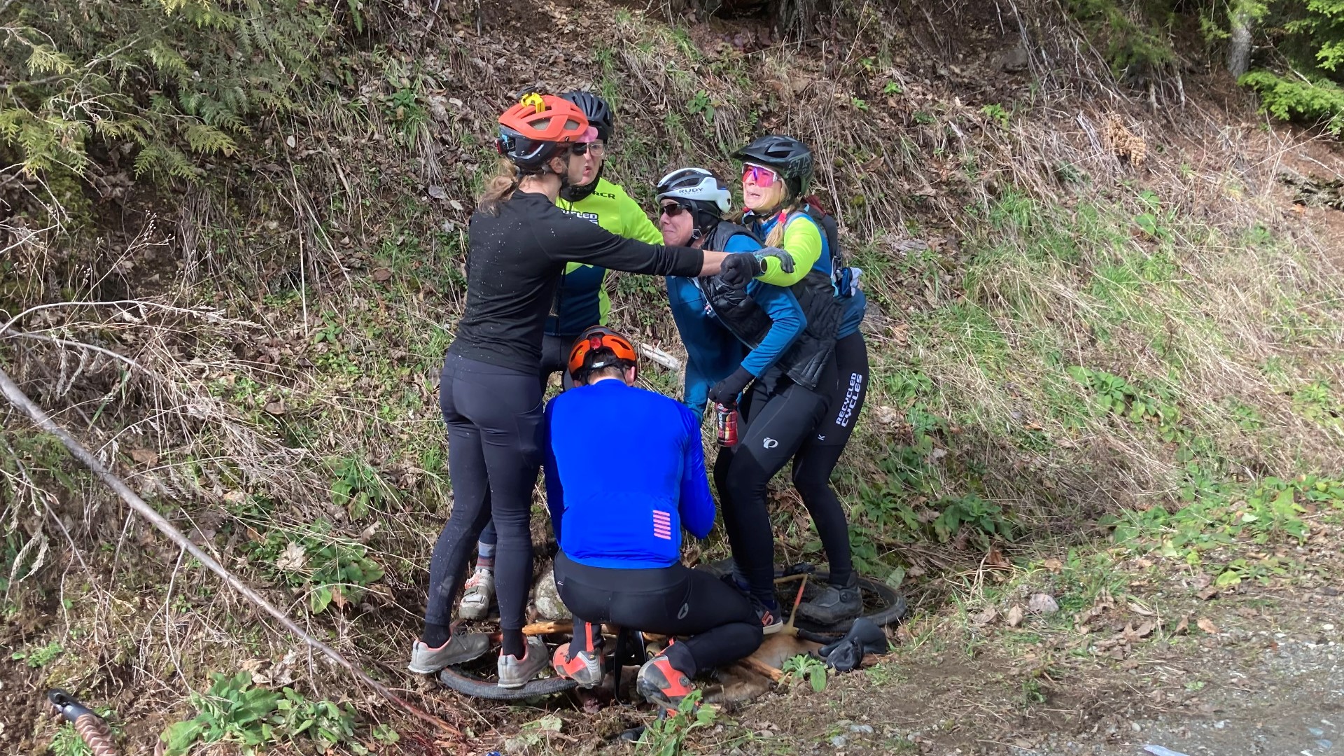 Woman attacked by cougar near Snoqualmie shares story | king5.com