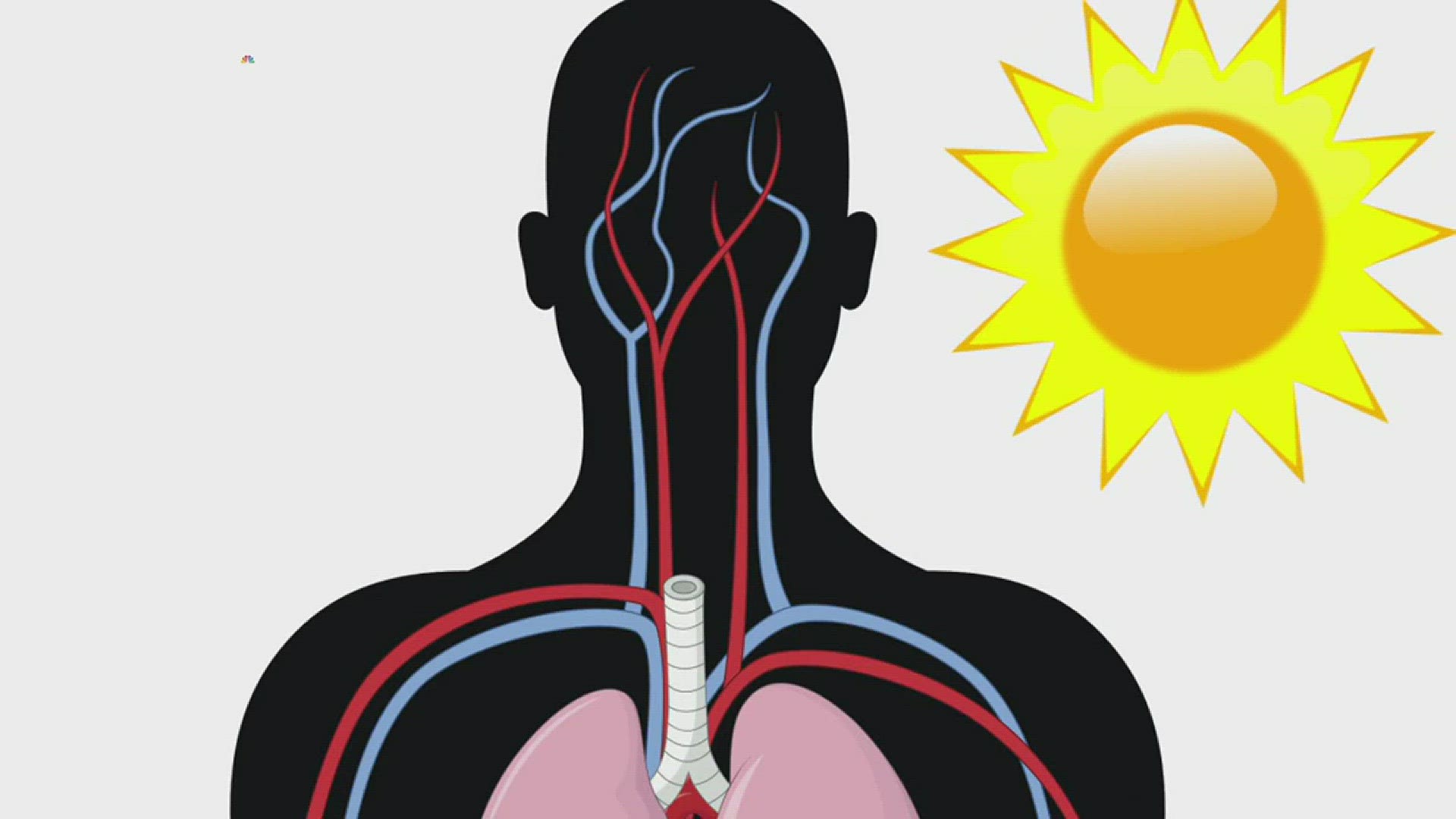 This is what happens to your body at 100-degree temperatures | king5.com