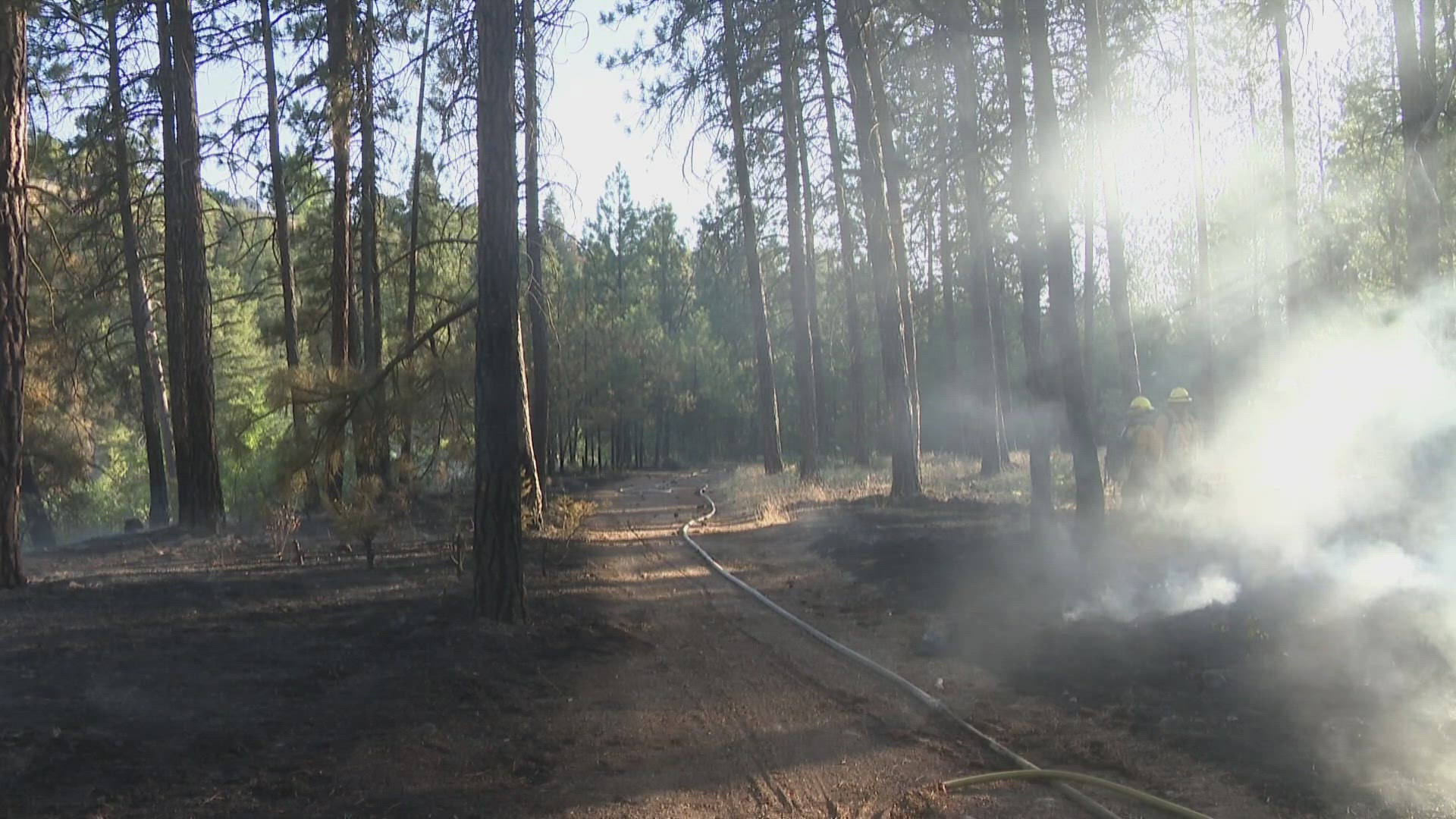 Spokane Fire Dept. tackles brush fire near Elliott Dr. | king5.com