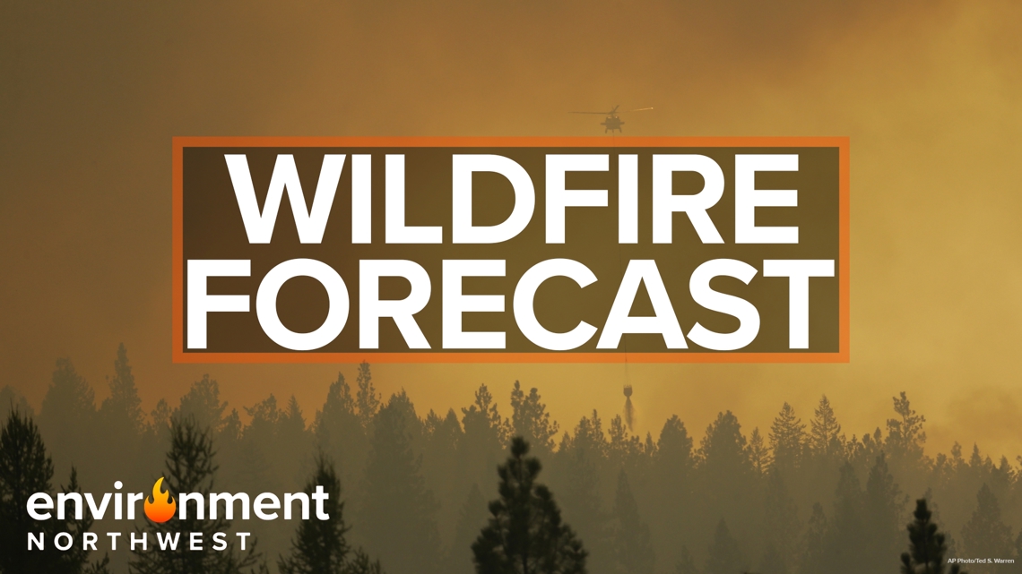 Northwest braces for active wildfire season amid lingering El Niño ...