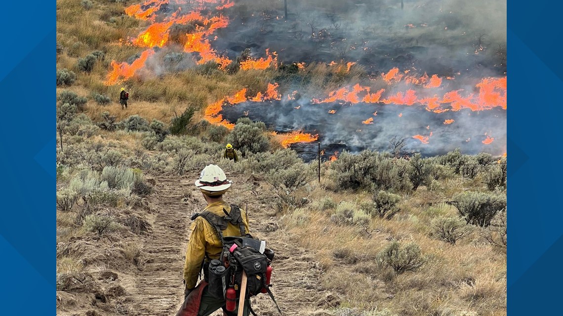 Wildfire burning near Vantage reaches more than 32,000 acres | king5.com