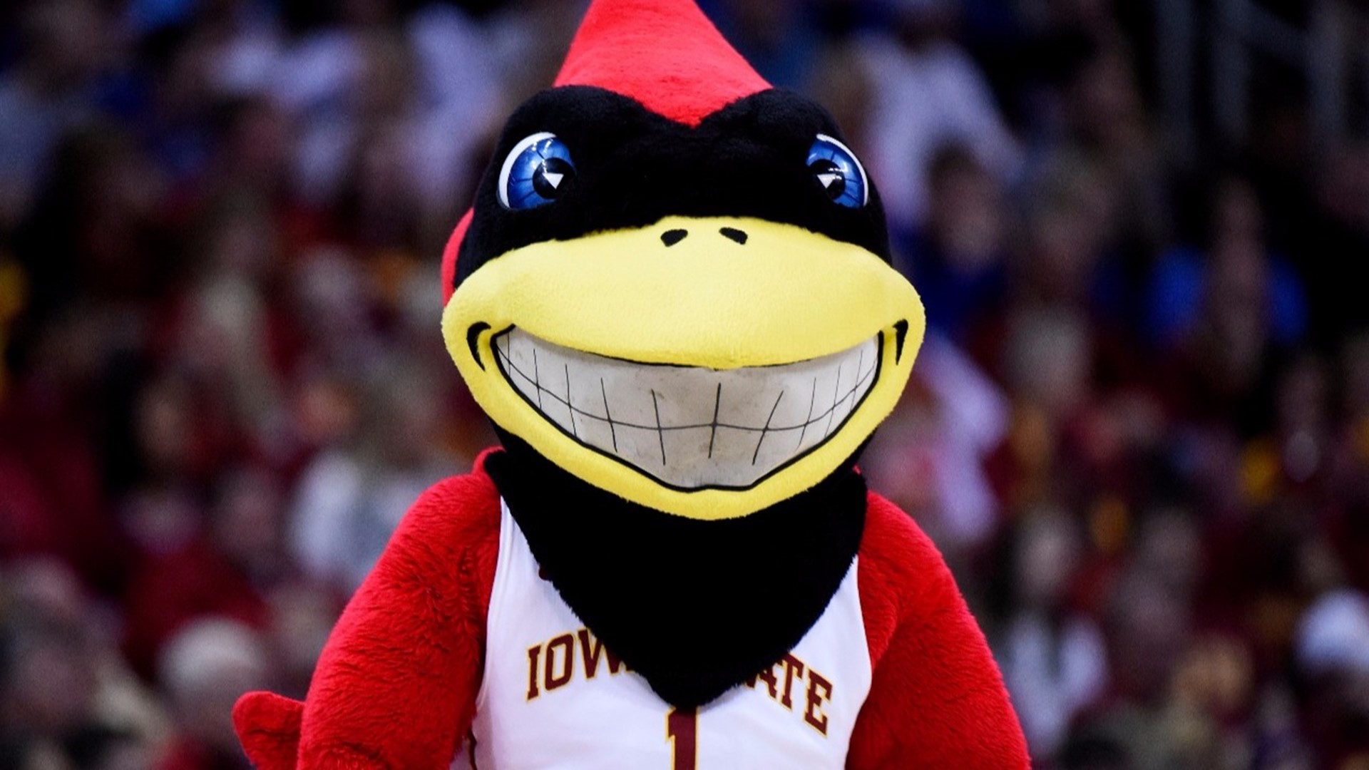 9 inexplicable NCAA basketball mascots | king5.com