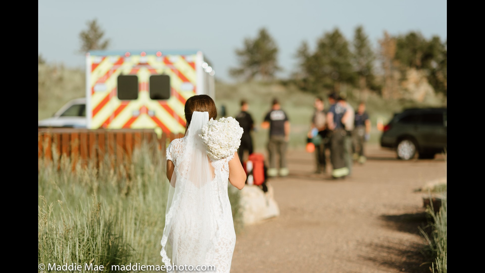Wedding photographer captures aftermath of Fort Collins groom bit by ...