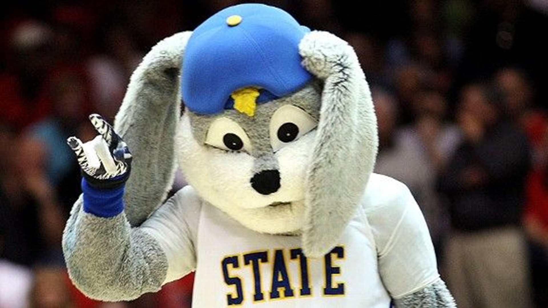 9 inexplicable NCAA basketball mascots | king5.com