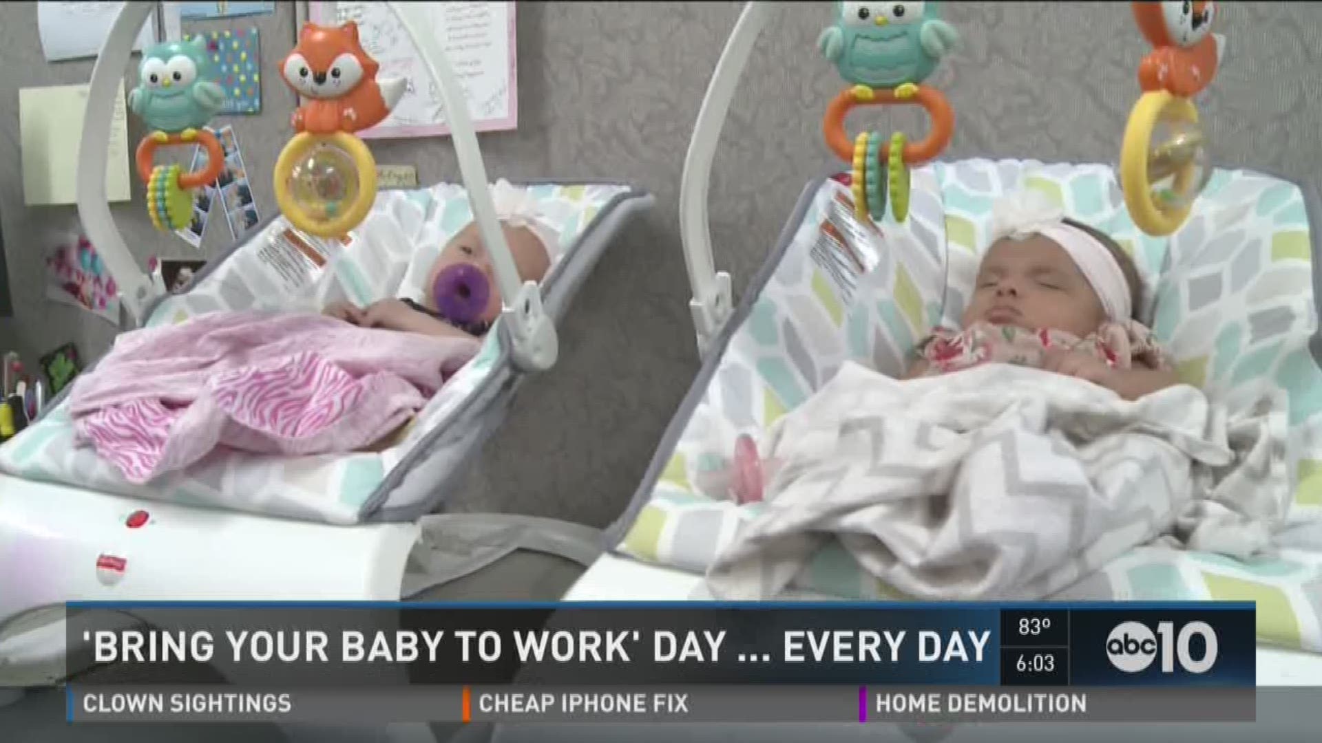 Company allows employees to bring newborns to work ... every day ...