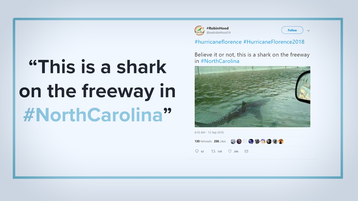 VERIFY: Fake shark photos and other hoaxes to look out for during ...