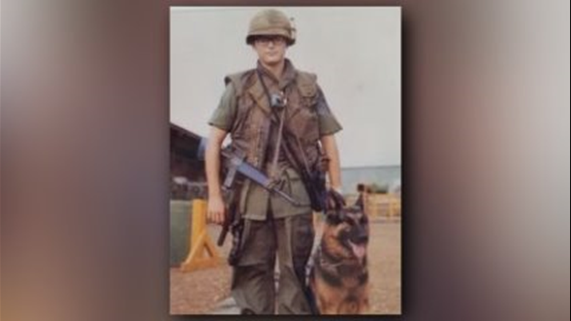 5,000 military dogs went to Vietnam; not a single one came back. Now ...