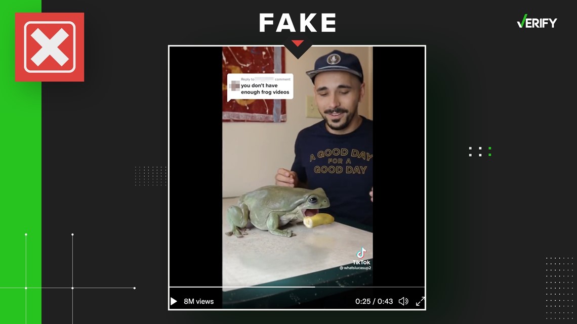 Giant frog in viral video is enlarged with video editing | king5.com