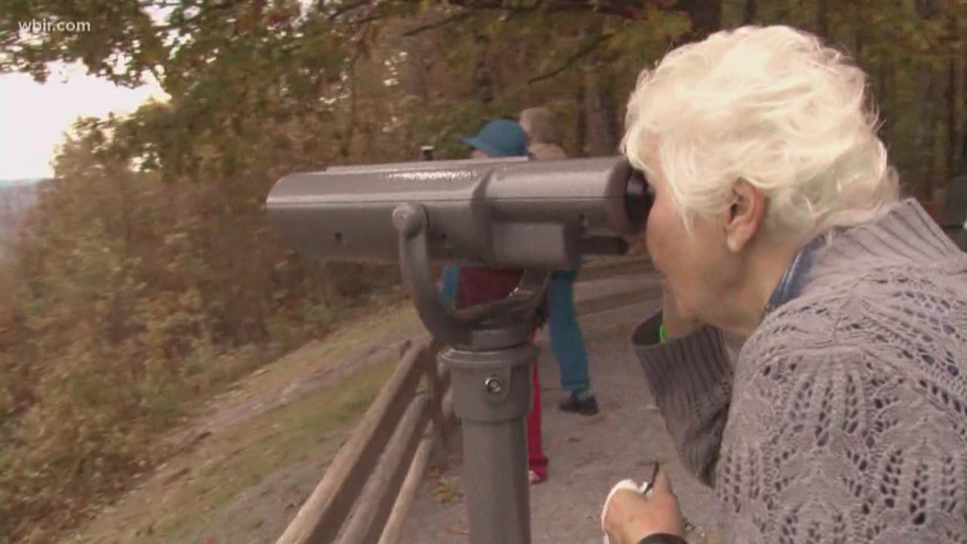 'I saw God today': Color blind woman sees fall color for the 1st time ...