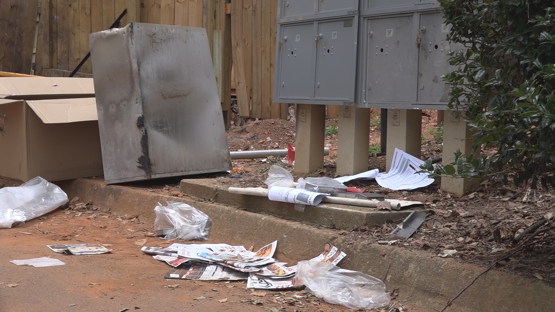 Residents: Rat infestation is so bad, postal workers refuse to deliver ...